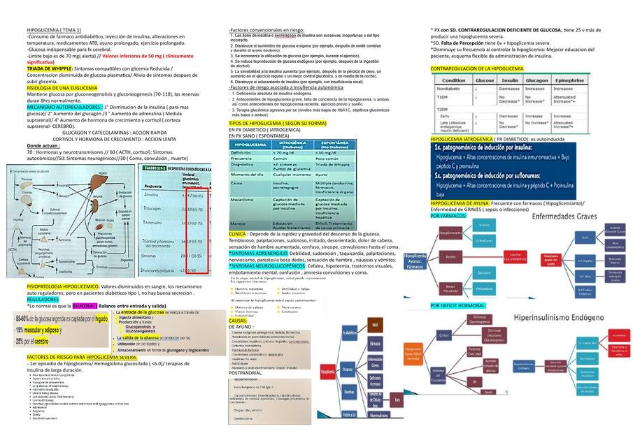 Medicina endocrino | Jossie Sofia Chirre Challco | uDocz