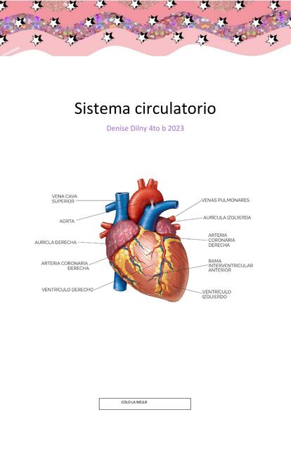 Mapa Concepual Sistema Circulatorio | Coloo Deni | uDocz