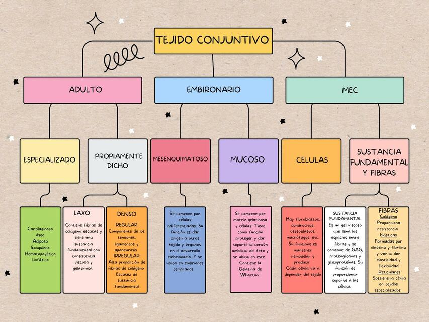 Tejido Conjuntivo | Laura Valenzuela | uDocz Tejido Conjuntivo | Laura Valenzuela | uDocz