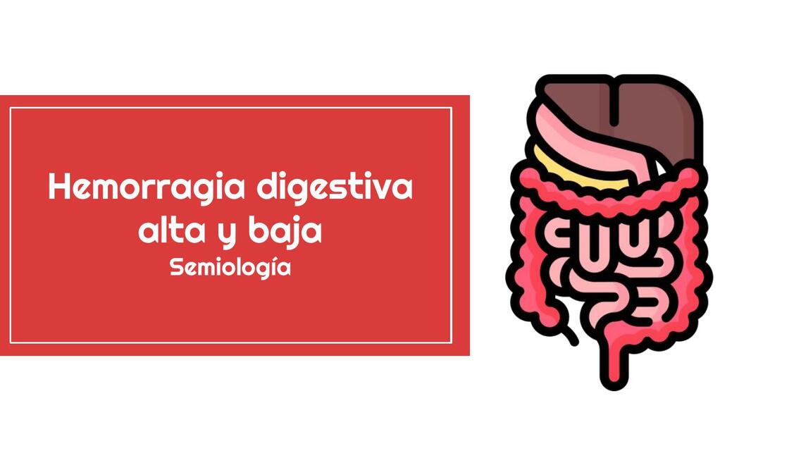Hemorragia digestiva Alta y baja | El Quisquilloso Med | uDocz