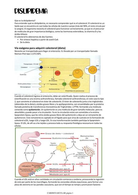 Dislipidemias | Daniel Rivero | uDocz