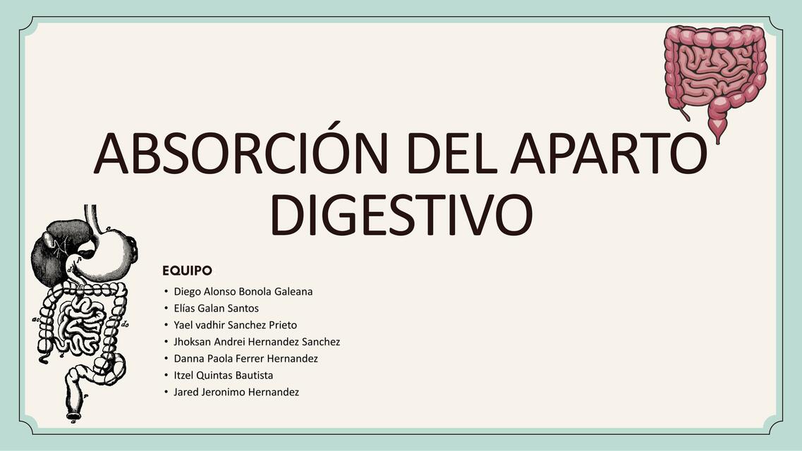 Absorción del Aparato Digestivo | Elias Galán Santos | uDocz
