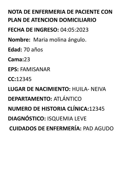 NOTA DE ENFERMERIA DE ATENCION DOMICILIARIA | Aura Ester Peréz Rada | uDocz NOTA DE ENFERMERIA DE ATENCION DOMICILIARIA | Aura Ester Peréz Rada | uDocz
