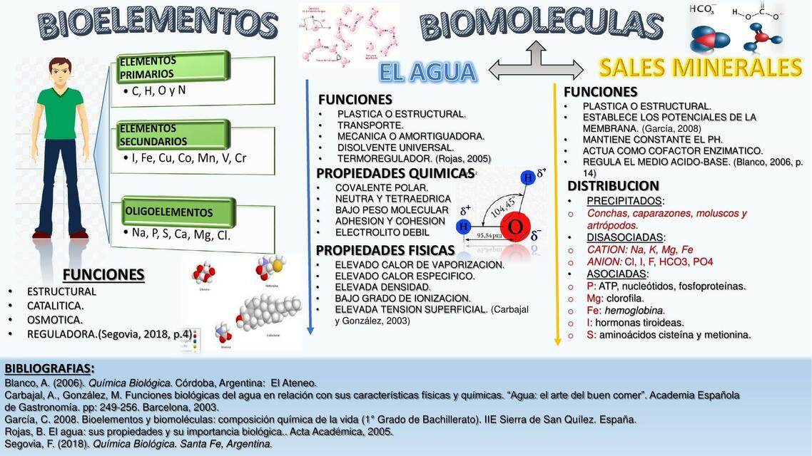 BIOMOLECULAS Y BIOELEMENTOS | ENFERMERA EDUCATIVA | uDocz