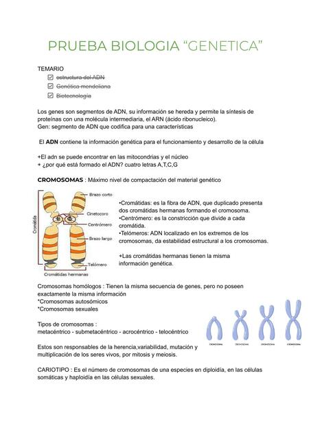 Prueba Biología "Genética" | JOSEFA | uDocz