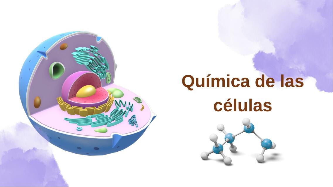 T2 Química de la célula | Piero Vega | uDocz