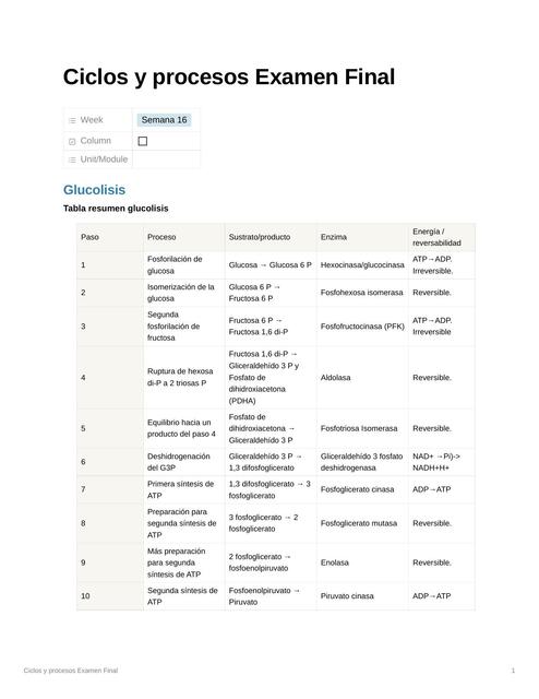 Ciclos y procesos Examen Final Bioquimica | Luisa Ibarra | uDocz