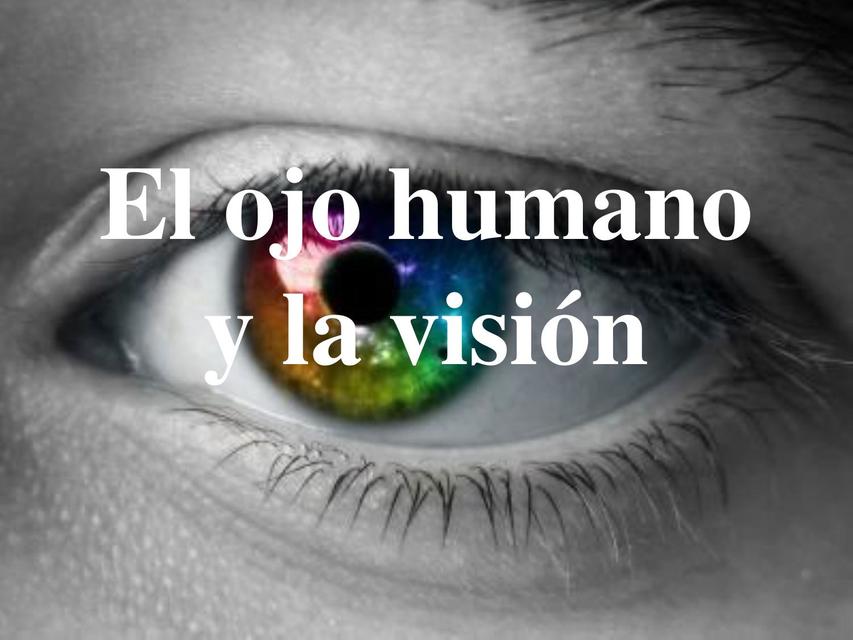 el ojo humano y la visión | FitMed | uDocz