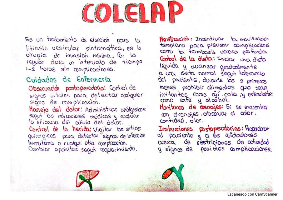 Colelap | Nursemaniapuntes | uDocz