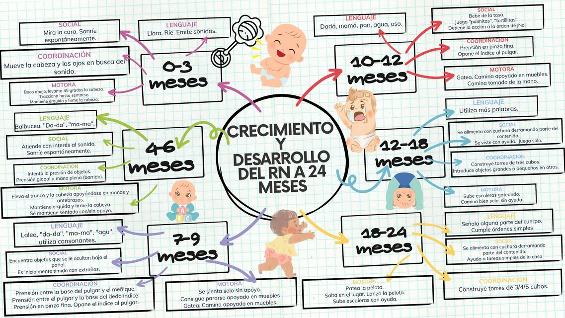Crecimiento y desarrollo del recién nacido a 24 meses | Karely J C | uDocz