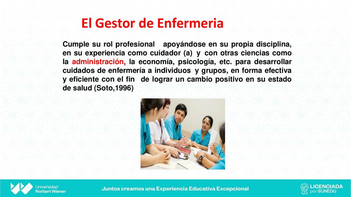 El Gestor de Enfermeria | Erica AF | uDocz