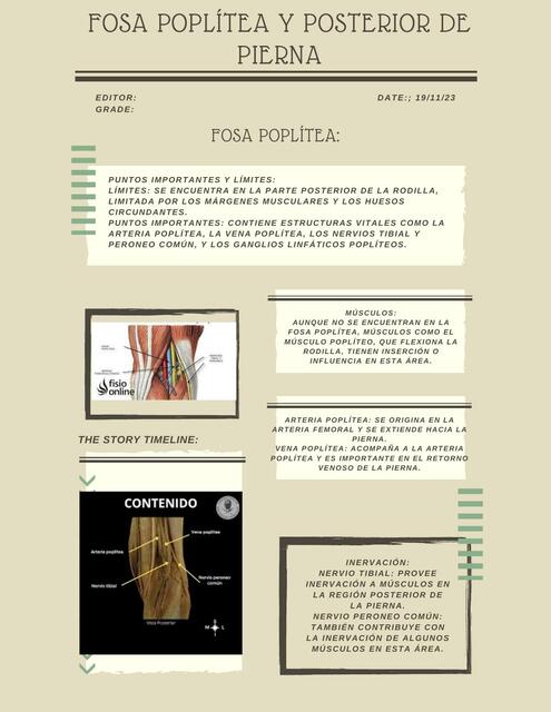 Fosa Poplítea y Posterior de Pierna | Jaidy | uDocz
