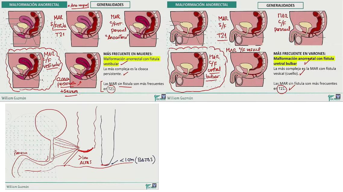 Pediatría | Marlene Olinda Arrascue campos | uDocz