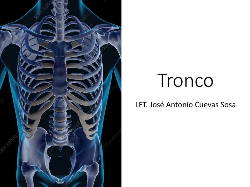 Tronco | ... | uDocz