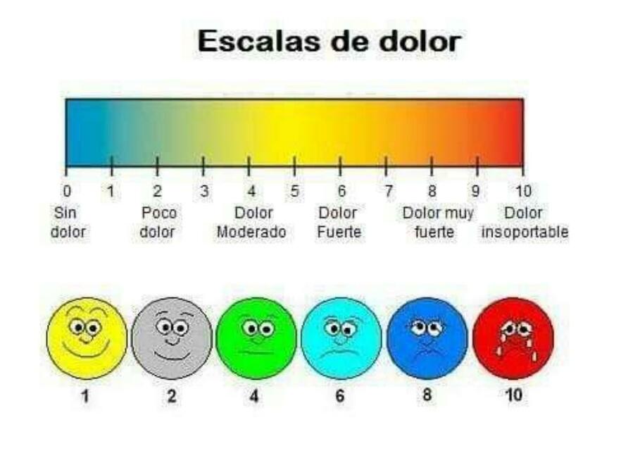Escalas de Dolor | Apuntes | uDocz