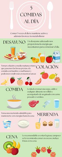 TENIENDO UNA BUENA ALIMENTACIÓN: 5 COMIDAS AL DÍA | samxnthastudy | uDocz