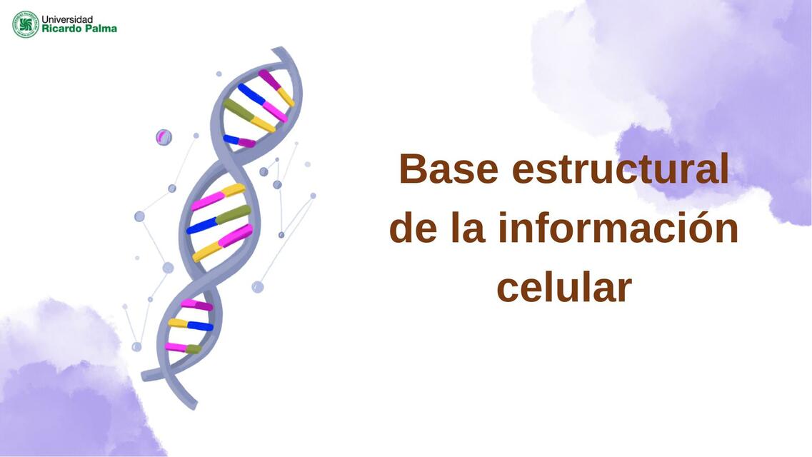 Flashcards de T11 Base estructural de la información celular | Por ...