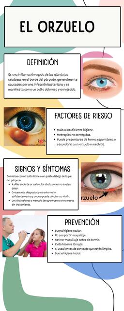 El orzuelo y el chalazión | Lucero Coronado | uDocz