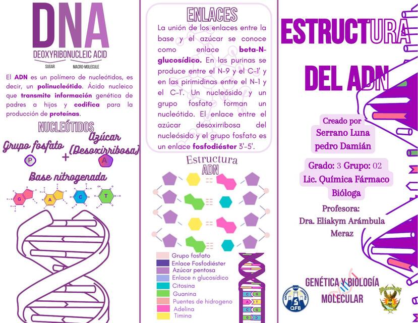 Tríptico Ácido desoxirribonucleico | Pedro Serrano | uDocz