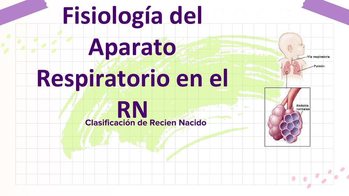 Fisiologia pulmonar del Respiratorio en el Recién Nacido | HGTK ...