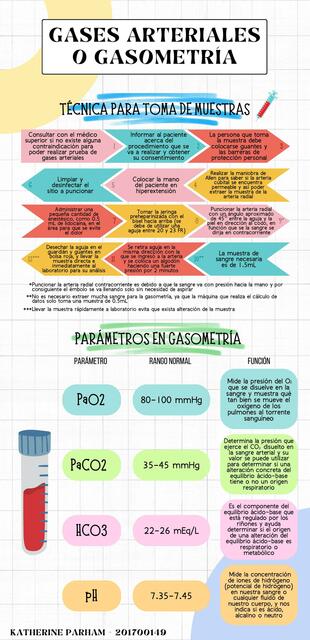 Técnica y parámetros de gases arteriales/gasometría | KATHERINE YOLANDA ...