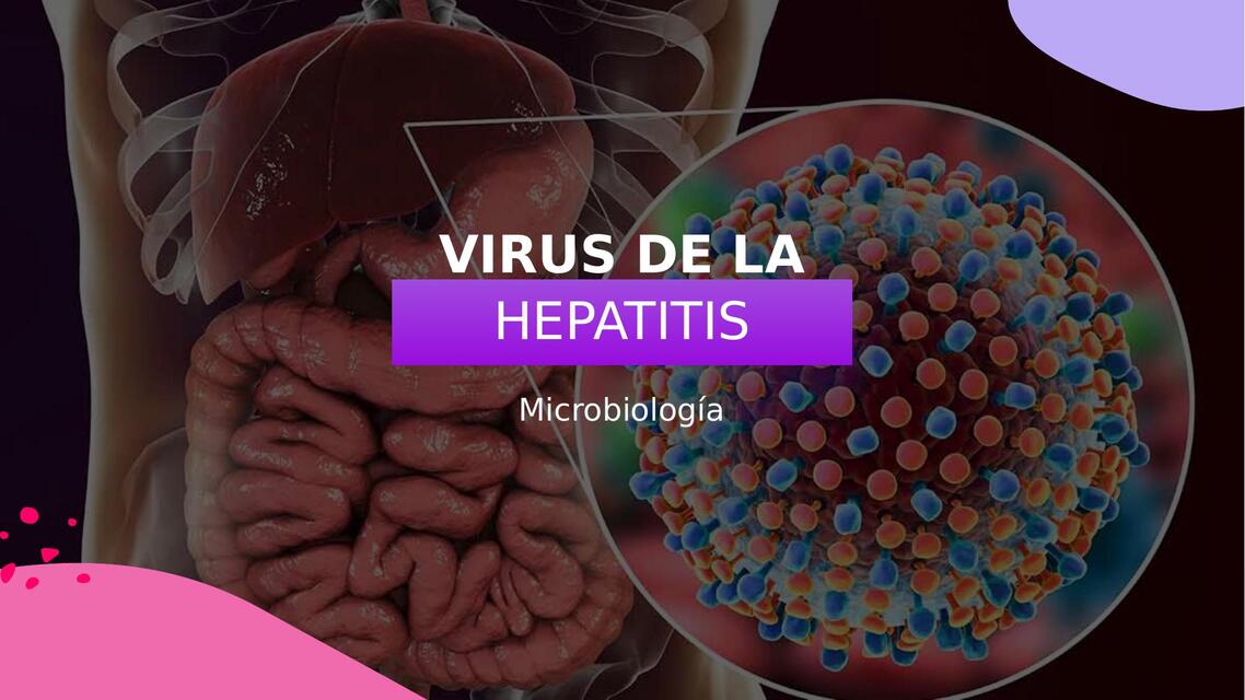 Virus de la hepatitis | Javier Torres | uDocz