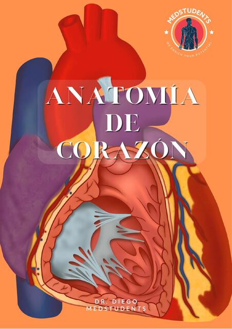 Anatomía de corazón | Carolina Morales B. | uDocz