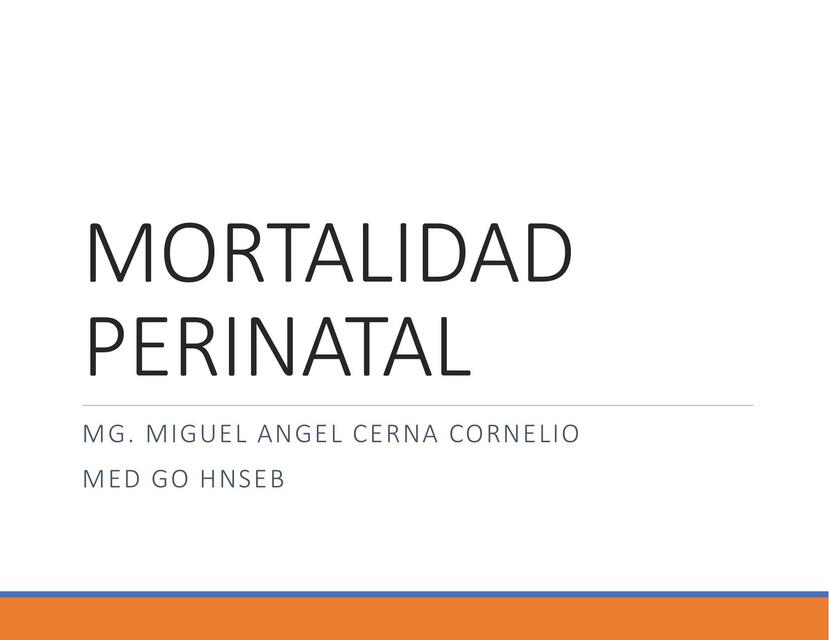Mortalidad Perinatal | Dra. Lulú | uDocz