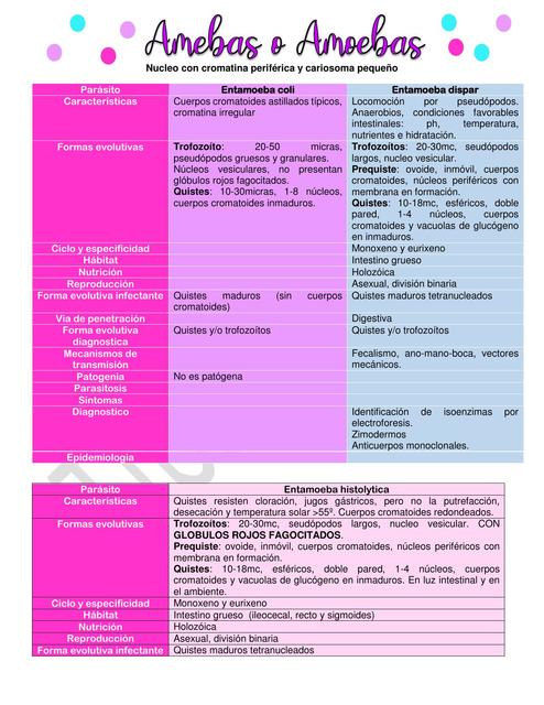 Amebas RESUMEN | Tips Medic | uDocz