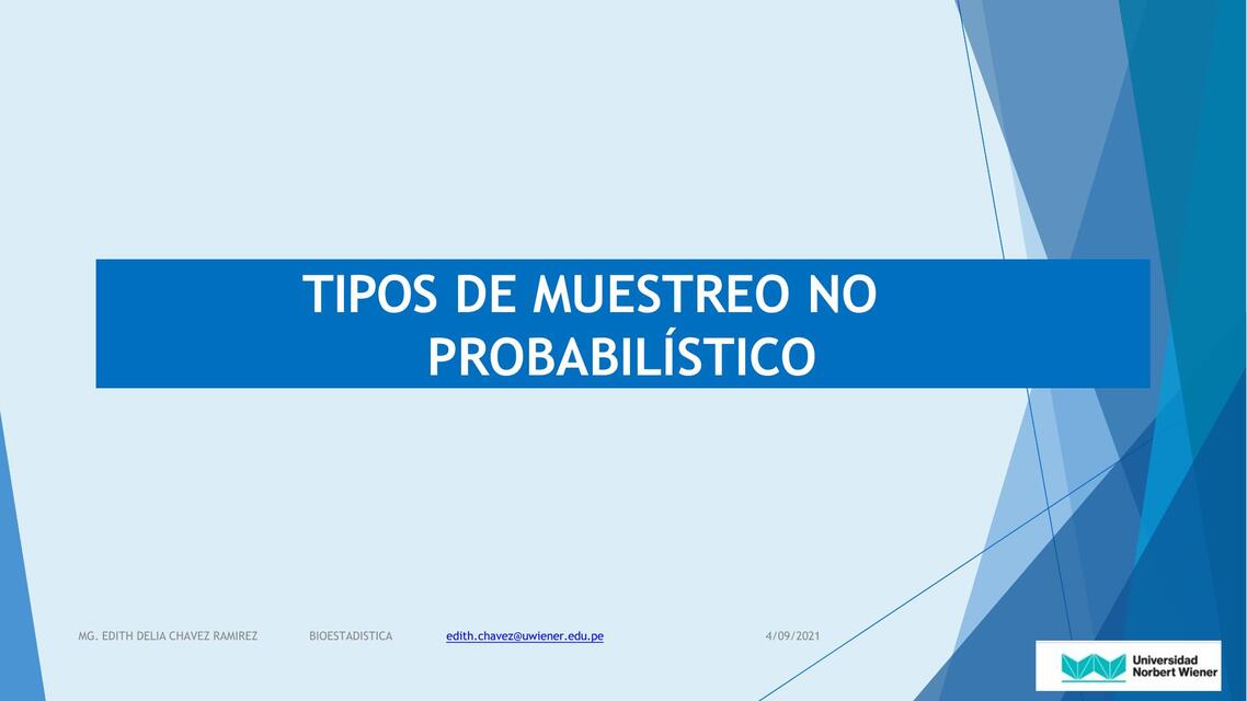 Tipos de muestreo no probabilístico | Erica AF | uDocz