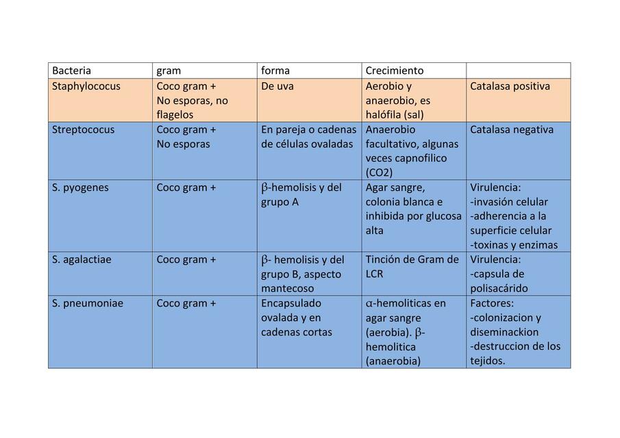 Bacterias | Maran Meza | uDocz