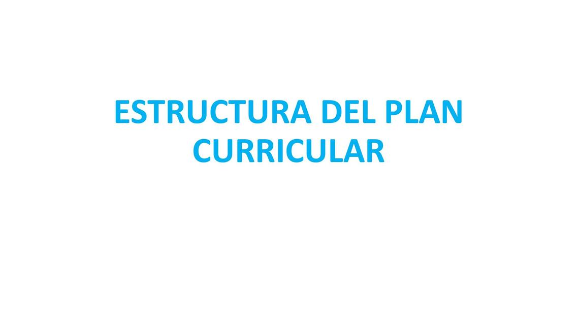 Estructura del plan curricular | Erica AF | uDocz