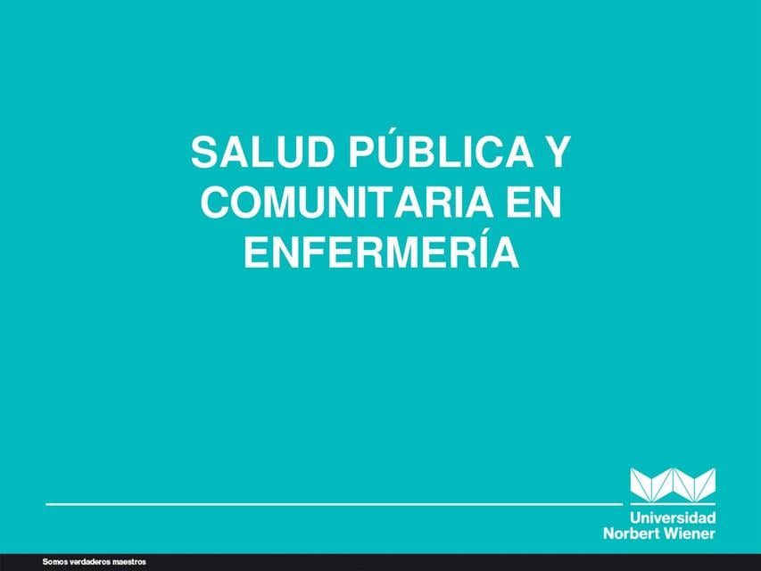 Salud pública y comunitaria en enfermería | Erica AF | uDocz