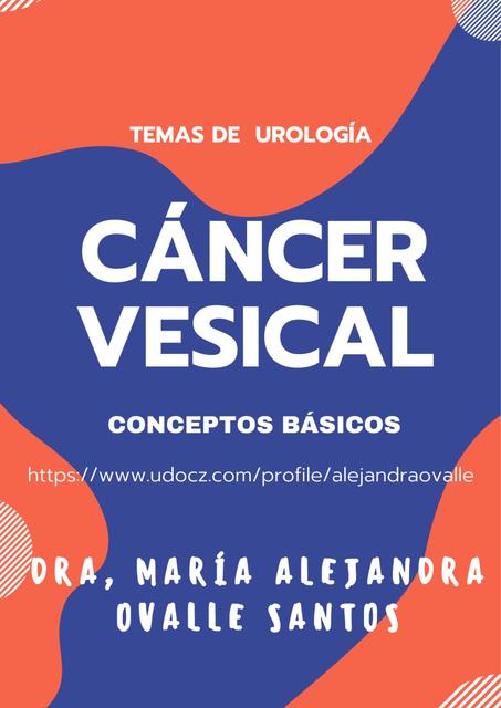 CÁNCER VESICAL. CONCEPTOS BÁSICOS (APUNTES DE UROLOGÍA) | Dra ...