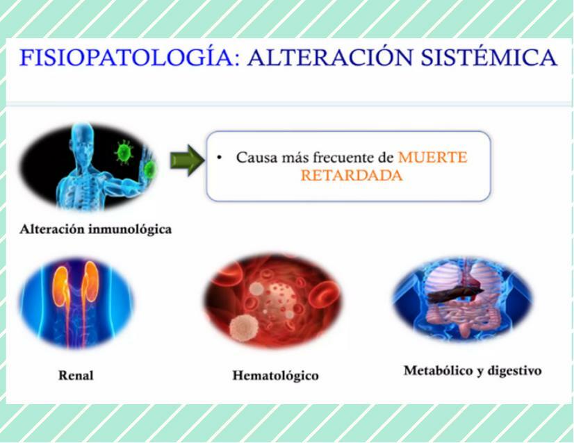 Fisiopatología alteración sistémicas | Alxnsx s | uDocz