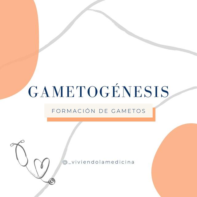 Gametogénesis | Viviendo la medicina | uDocz