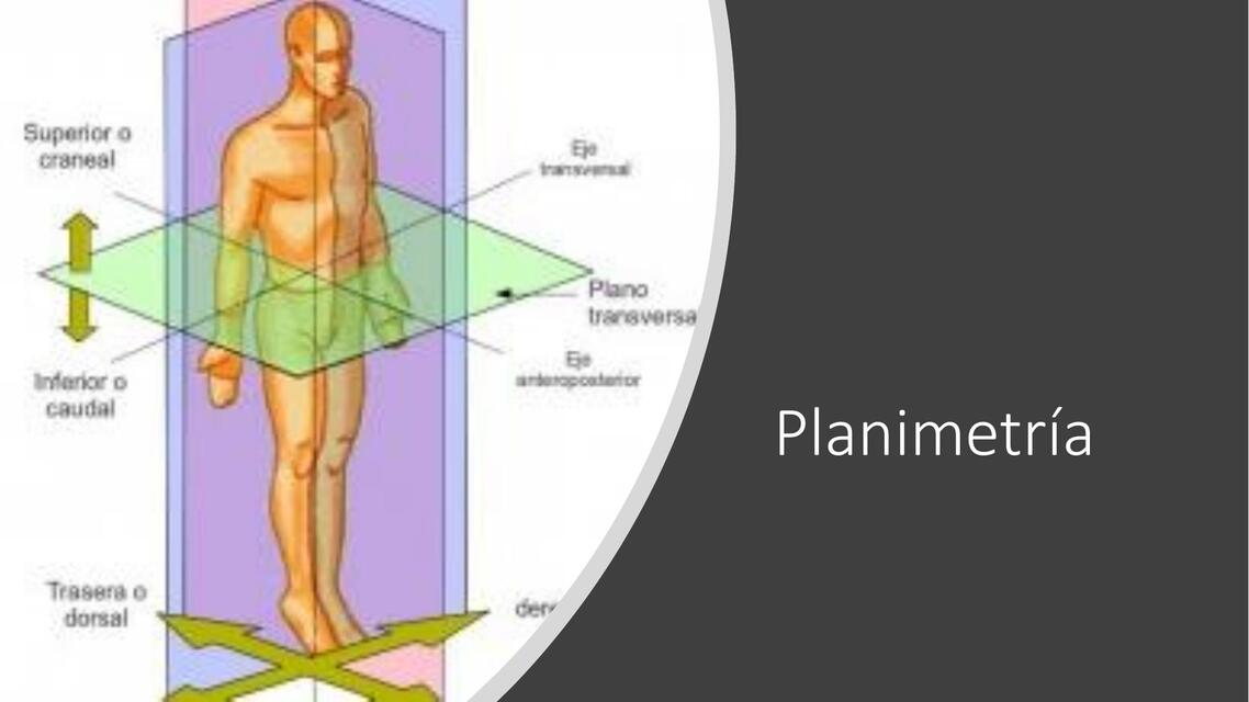 Planimetría | Nallely Uribe | uDocz