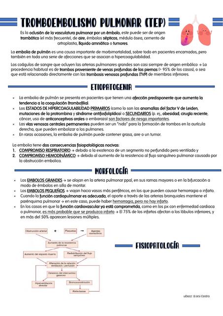 TROMBOEMBOLISMO PULMONAR (TEP): Patogenia, clínica y diagnóstico ...