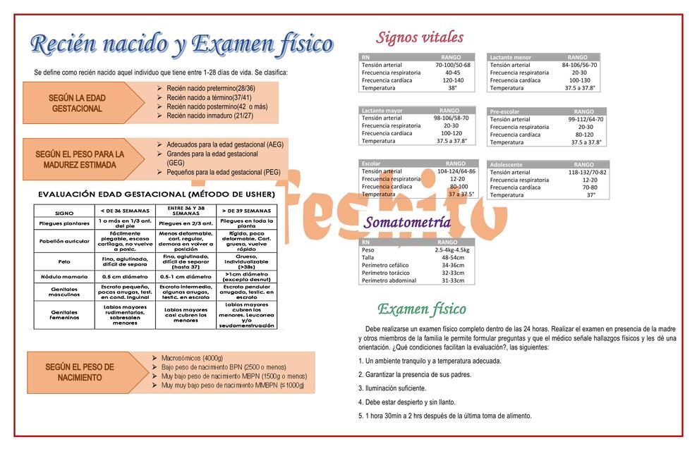 Examen fisico del recien nacido | 𝑲𝒂𝒇𝒆𝒔𝒉𝒊𝒕𝒐02 | uDocz Examen fisico del recien nacido | 𝑲𝒂𝒇𝒆𝒔𝒉𝒊𝒕𝒐02 | uDocz
