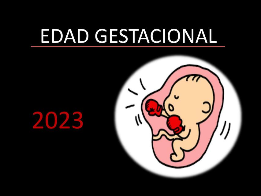 Edad gestacional | nana mendez | uDocz