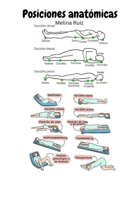 Posiciones anatómicas | MELINA RUIZ GARCIA | uDocz