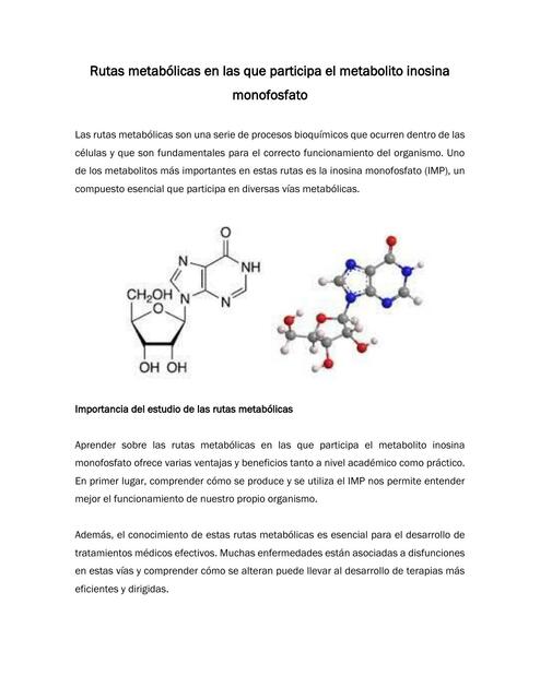 Rutas metabólicas en las que participa el metabolito inosina ...