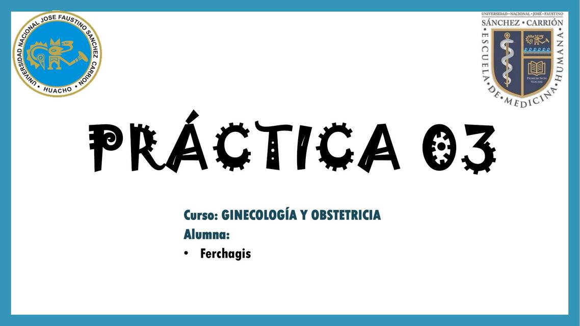 ANATOMÍA FEMENINA-EXÁMENES ESPECULOSCOPÍA/TACTO DIGITAL/BIMANUAL ...