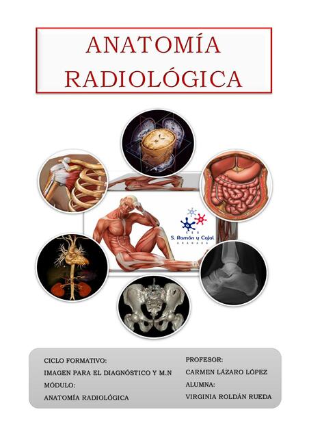 Anatomía radiologica | Lucia Raña | uDocz