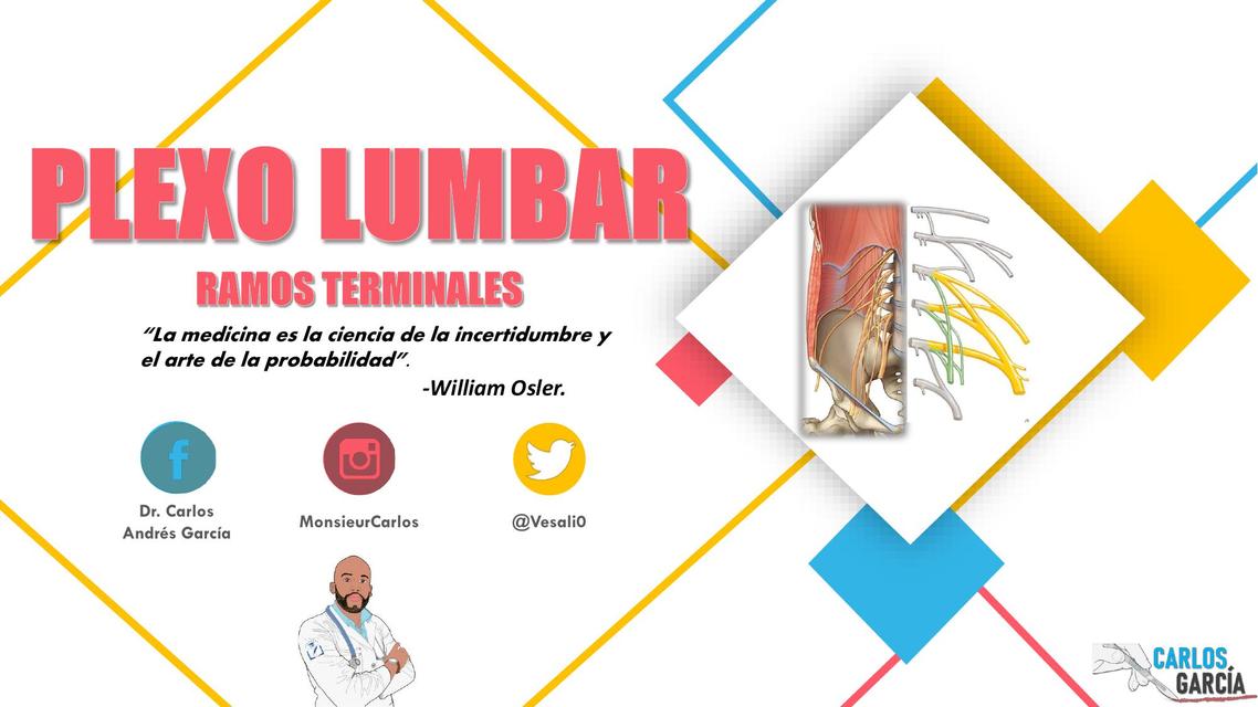 Anatomia - Plexo Lumbar por Carlos Andrés García | Dr. Carlos Andrés ...