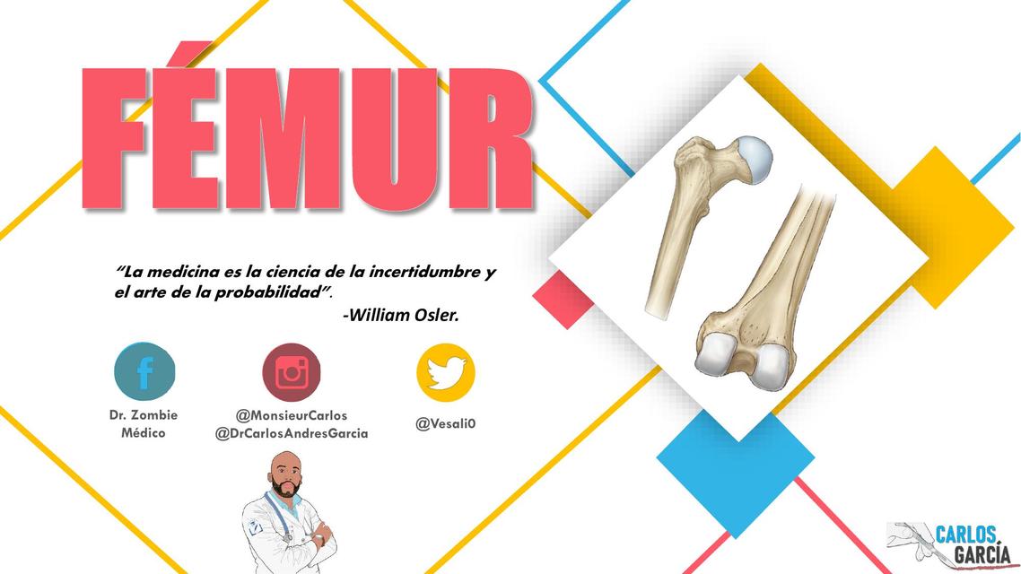 Anatomía - Fémur por Carlos Andrés García | Dr. Carlos Andrés García ...