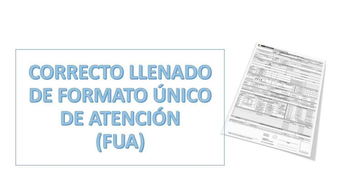 Correcto llenado de formato único de atención | Edunurse29 | uDocz
