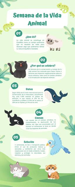 Semana de la vida animal | nose | uDocz