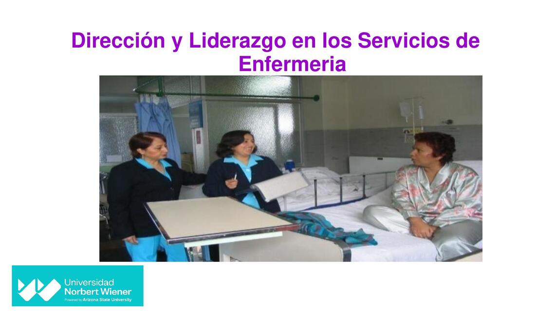 Dirección y liderazgo en los servicios de enfermería | Erica AF | uDocz