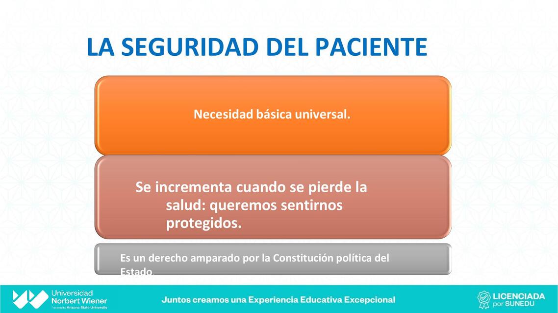 La seguridad del paciente | Erica AF | uDocz